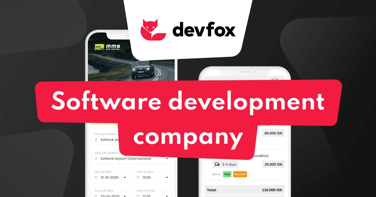 devfox - software development company made of humans